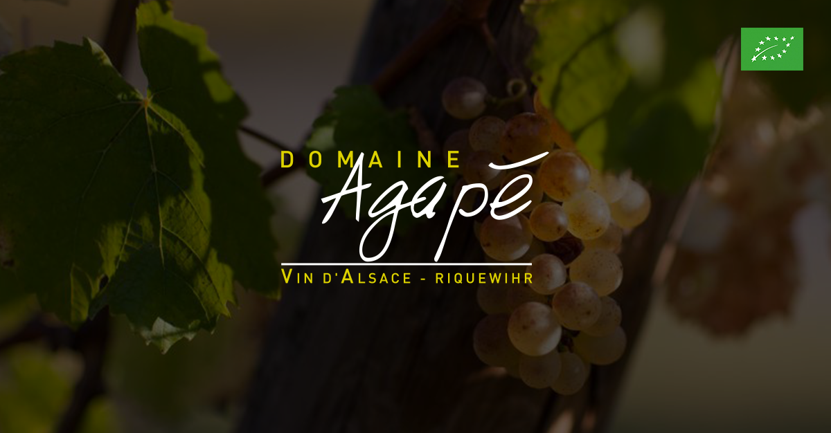 Domaine Agapé – Grands vins d'Alsace par Vincent Sipp producteur de vin ...